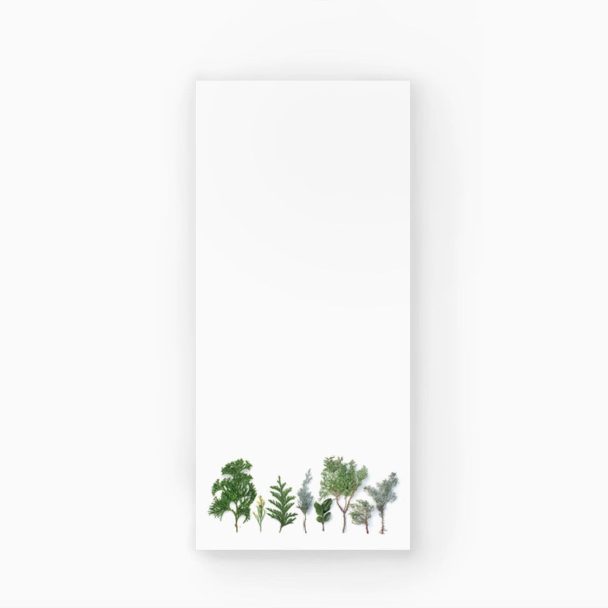 Evergreen Trees Notepad – Princeton University Art Museum Store